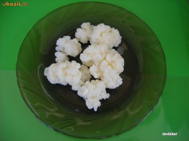 Kefir Indian (Ciuperca tibetana) | arhiva Okazii.ro