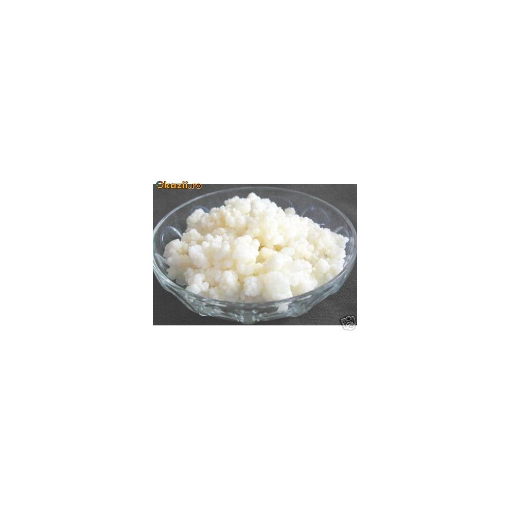 Kefir de lapte (granule) ciuperca chefir caucazian | arhiva Okazii.ro