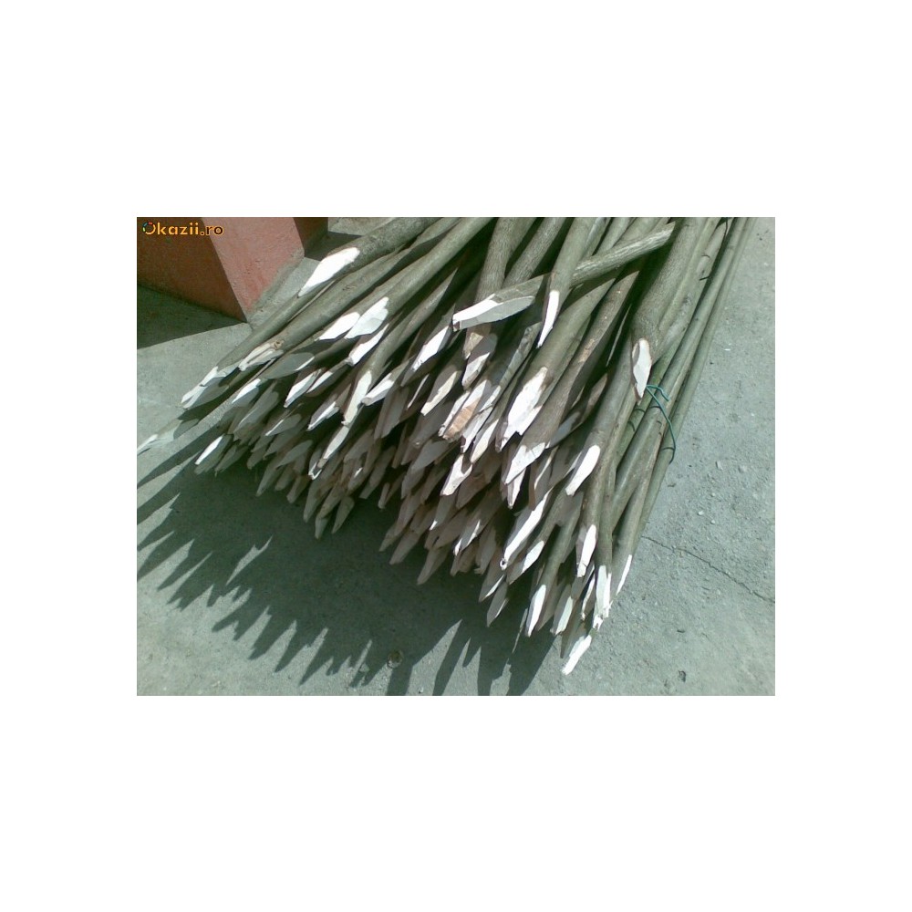 VAND ARACI..PENTRU VIE SAU ROSII | arhiva Okazii.ro