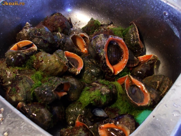 Rapane | arhiva Okazii.ro