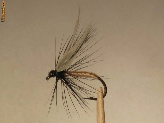 Muste artificiale pt. pescuit - MUSCA DE CASA - Gravel Bed - Hazi legy ...