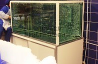 Vand acvariu vanzare peste viu crap,pastrav din inox sau pvc cu sistem ...