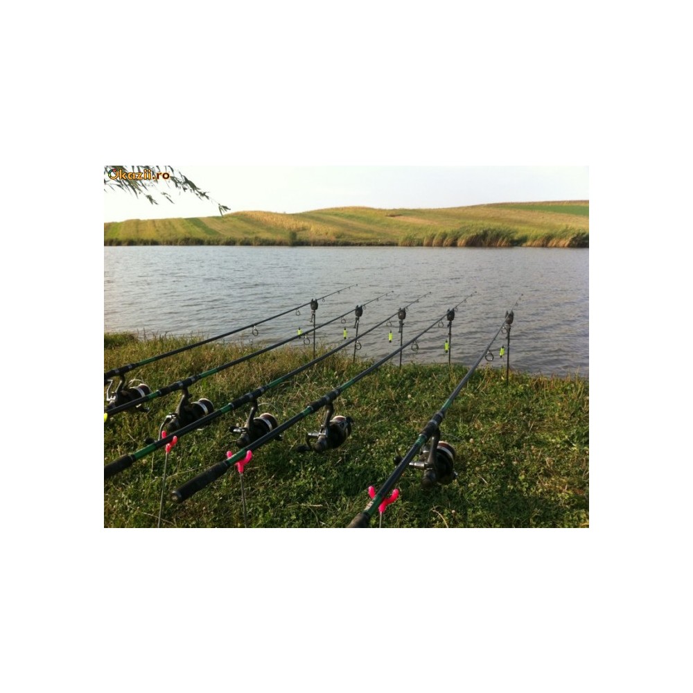 Vand scule de pescuit la crap (5 bete +5 mulinete) | arhiva Okazii.ro