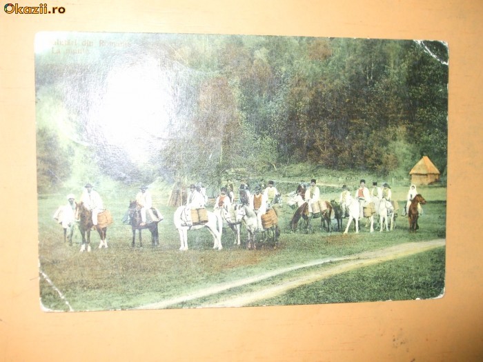 Carte Postala Port popular costum romanesc barbat cal padure desagi ...