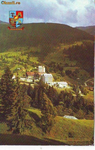 S11620 Statiunea turistica BORSA NECIRCULAT | Okazii.ro