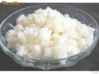 Kefir de lapte (granule) ciuperca chefir caucazian | arhiva Okazii.ro