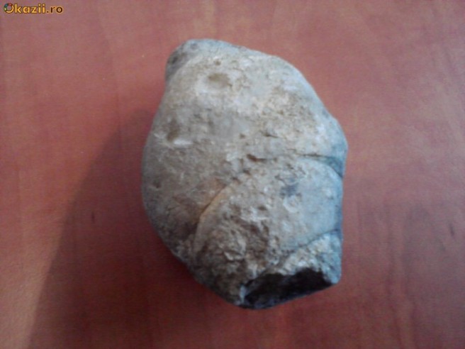 FOSILE - Melc marin fosilizat | arhiva Okazii.ro