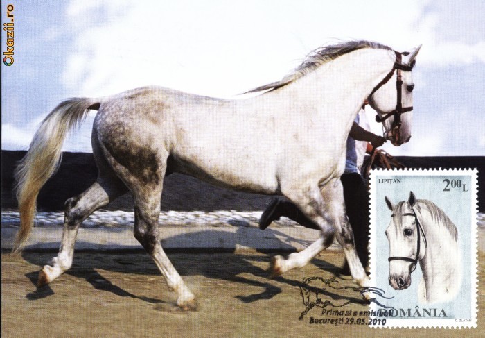 Carte maxima rasa de cai Lipitan | Okazii.ro