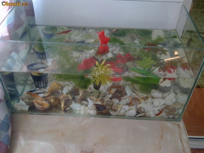 acvariu 20l Cel mai mic pret pt pesti/broaste testoase | arhiva Okazii.ro