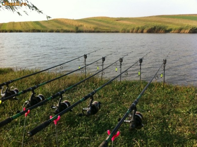 Vand scule de pescuit la crap (5 bete +5 mulinete) | arhiva Okazii.ro