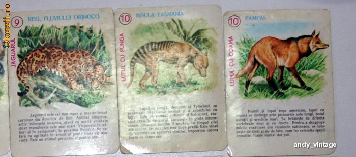 joc vechi - CARTI DE JOC CU ANIMALE , ANII 75 = RARE | arhiva Okazii.ro