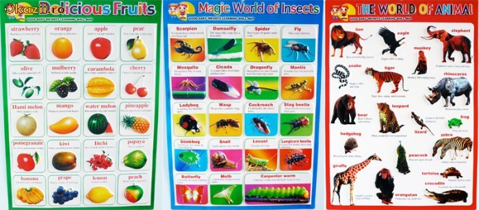 Imagine/harta de perete pt invatat copii , elevi cu desene 3D denumiri ...