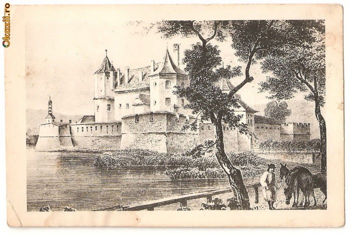 CPI (B444) CASTELUL FAGARAS, VEDERE DINSPRE VEST, DUPA O STAMPA DE LA ...