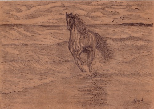 CAL PE PLAJA,desen in creion | arhiva Okazii.ro