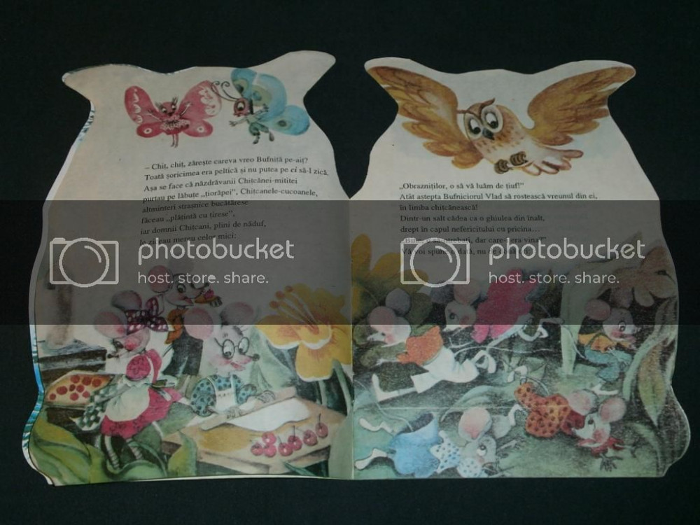 PASSIONARIA STOICESCU - Povestea bufniciorului *** grafica Doina Micu ...