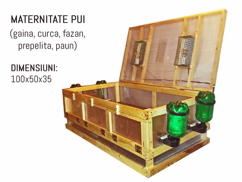 Maternitate pui (prepelita, gaina, curca, fazan, paun) | arhiva Okazii.ro