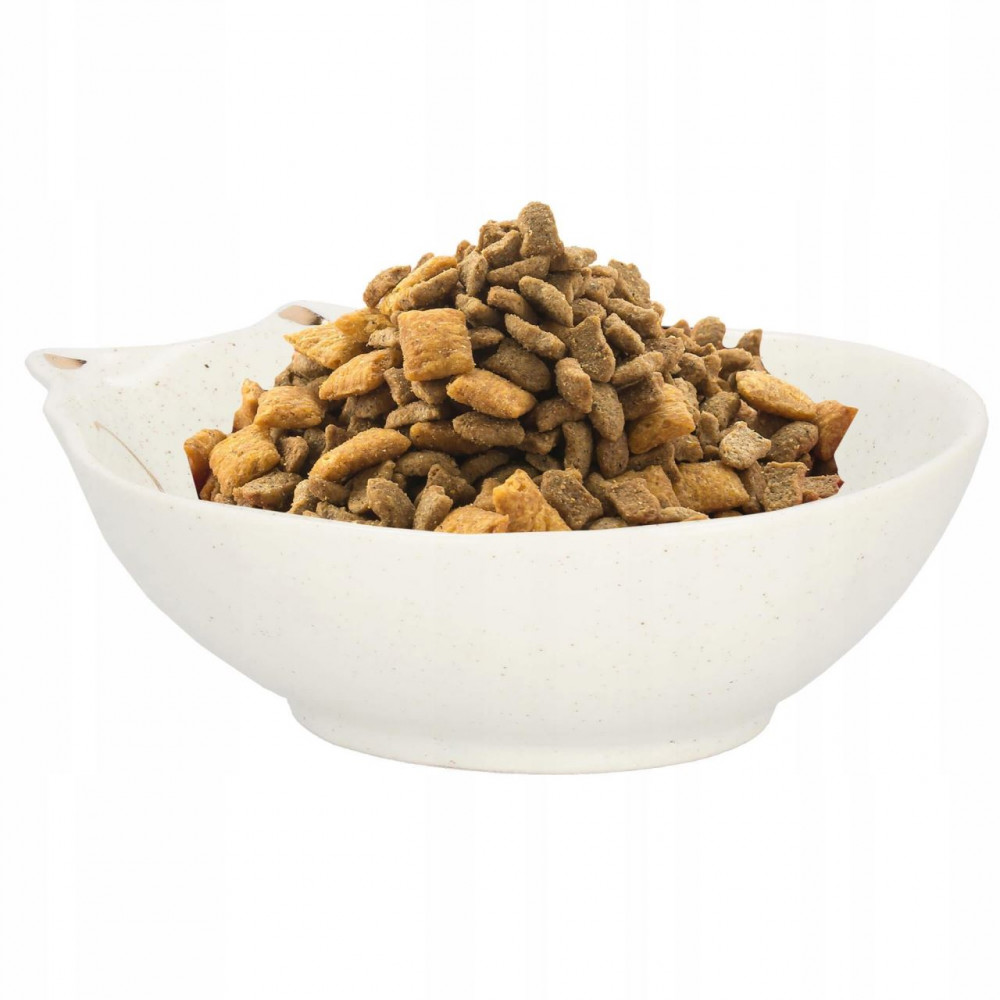 Castron, bol, pentru caine, pisica, ceramica, alb, model pisica ...