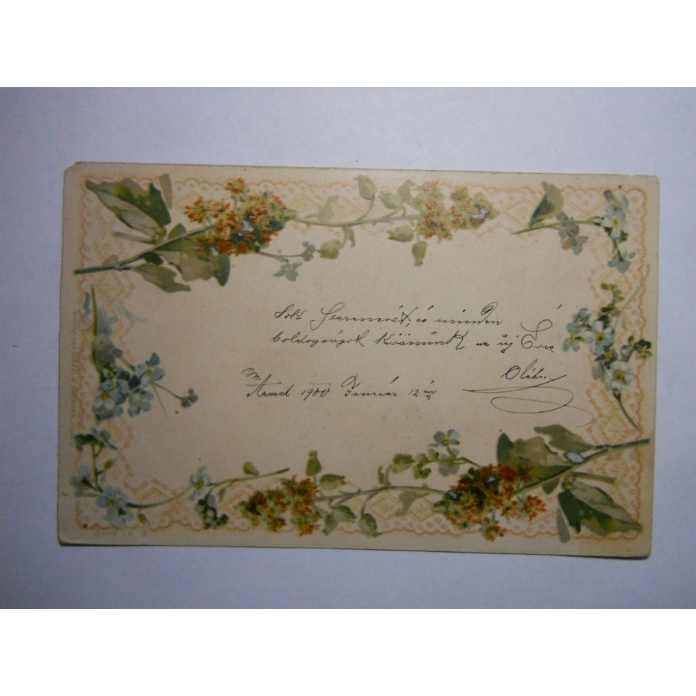 Ungaria-Chenar de flori | arhiva Okazii.ro