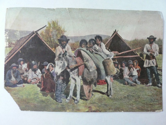 Tigani - Cumpara cu incredere de pe Okazii.ro.