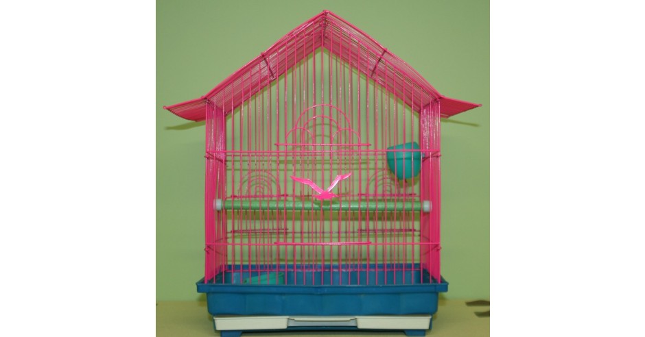 COLIVIE PAPAGALI, PASARI EXOTICE, CANARI, PERUSI ACCESORIZATA, ROZ ...