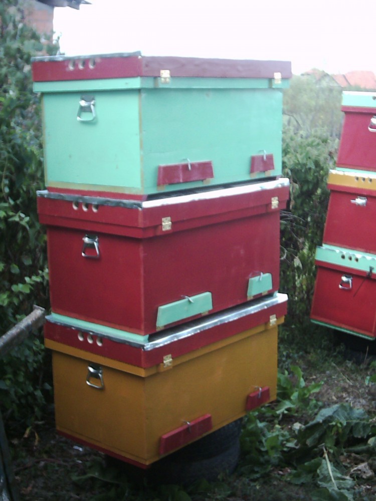 Stupi albine, accesorii apicole | arhiva Okazii.ro