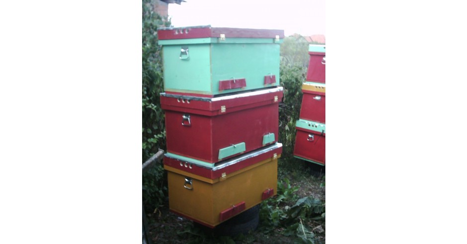 Stupi albine, accesorii apicole | arhiva Okazii.ro