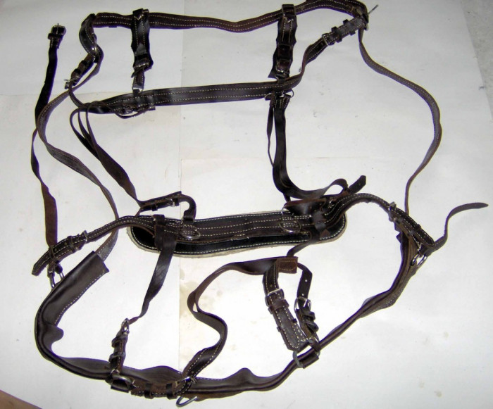 HAM PENTRU CAI | Okazii.ro