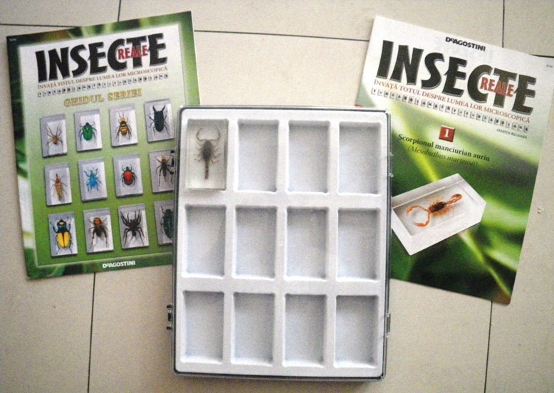 Cutie insectar colectia Insecte reale DeAgostini, scorpionul manciurian ...