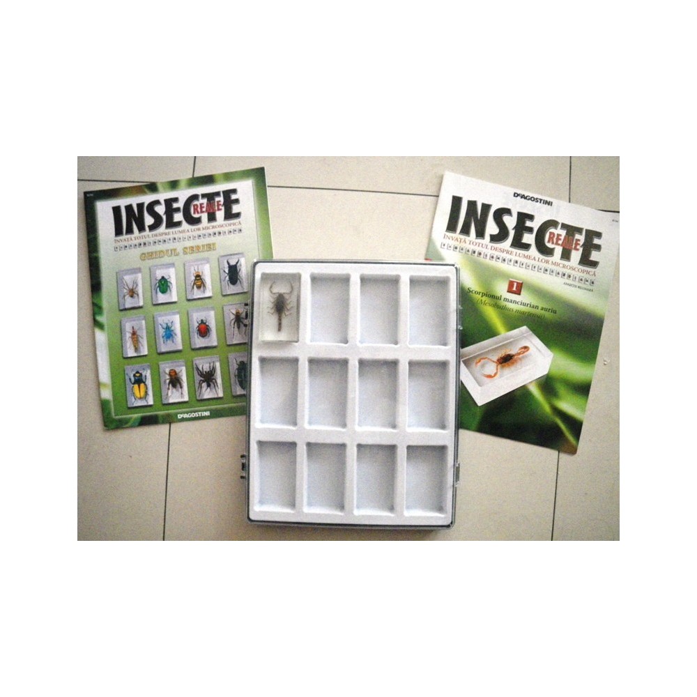 Cutie insectar colectia Insecte reale DeAgostini, scorpionul manciurian ...