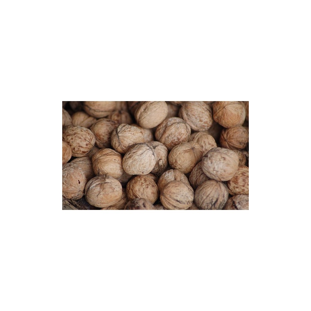 Nuci in coaja pret 10 lei/kg | arhiva Okazii.ro