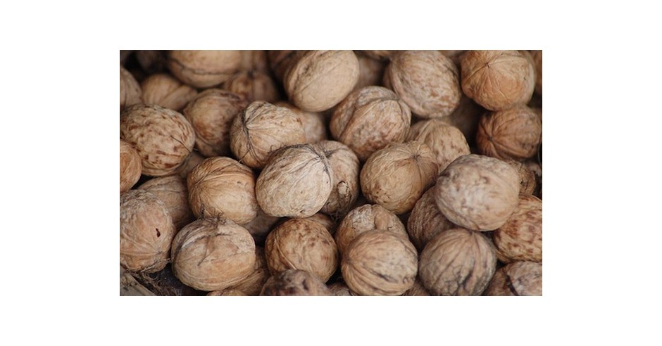 Nuci in coaja pret 10 lei/kg | arhiva Okazii.ro