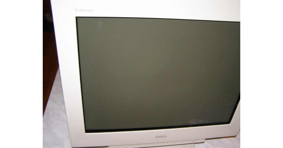 Monitor DELL P1110 21 inch CRT | arhiva Okazii.ro
