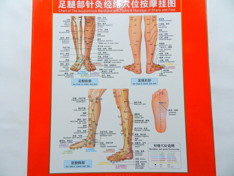 Plansa reflexoterapie si acupunctura - picior si gamba (cod H10 ...