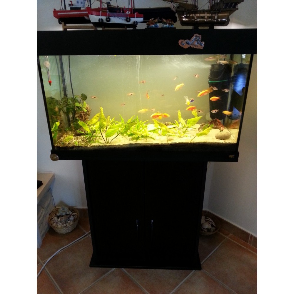 Acvariu si pesti | arhiva Okazii.ro