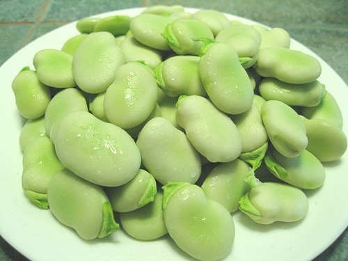 Seminte BOB de calitate superioara ,1 plic 5 lei. OFERTA 2+1 ! | arhiva ...