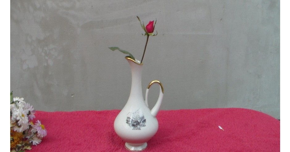 Vaza /Vas de udat florile+1 gratis | arhiva Okazii.ro