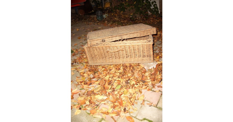 Cufar vechi din rachita [F] | arhiva Okazii.ro