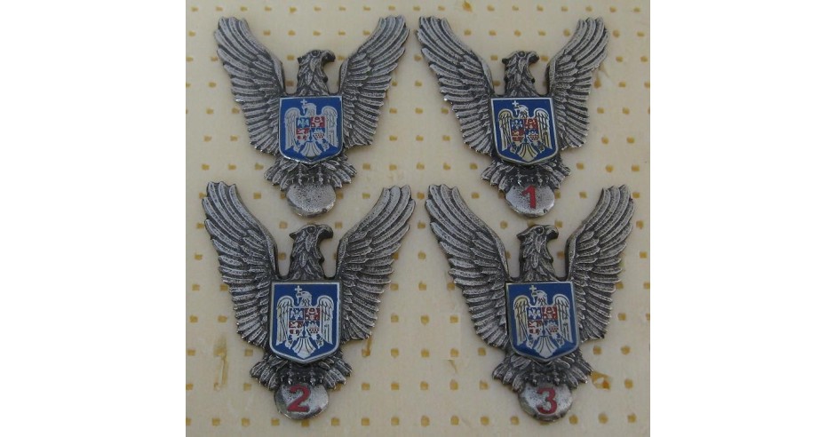 insigne aviator pilot specialist aviatie actual (varianta cu stema)-set ...