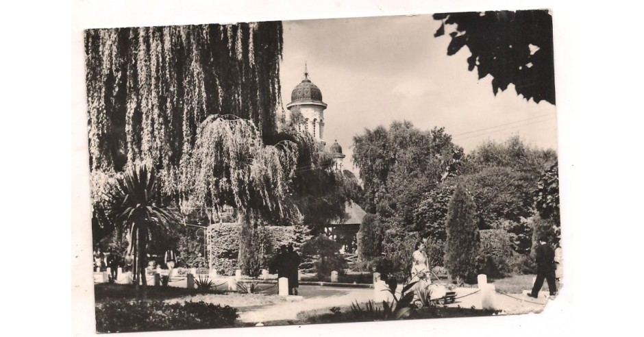 Carte postala(ilustrata)-RADAUTI-vedere din parc | Okazii.ro