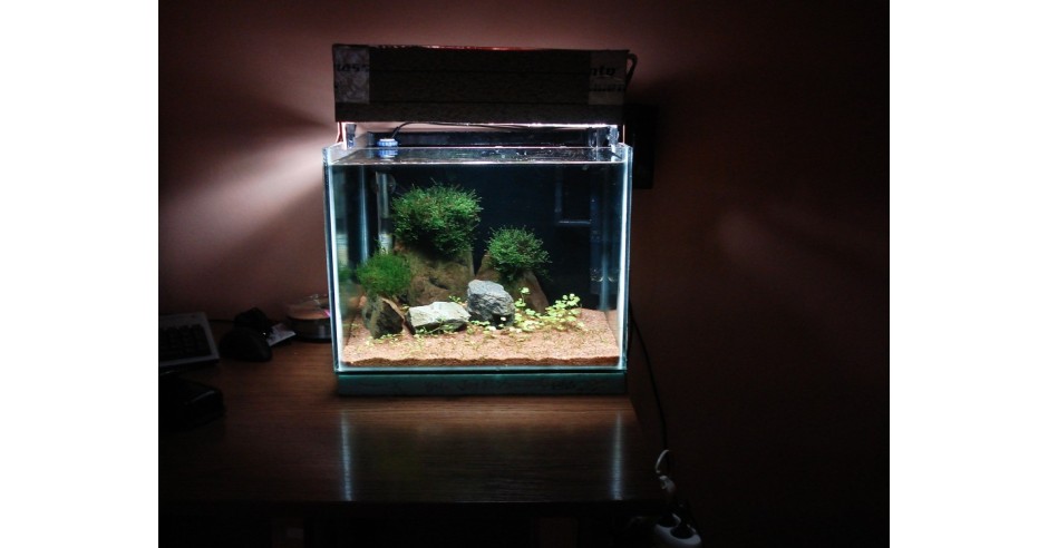 Acvariu cub 50 litri,sticla ultraclara 6mm FULL | arhiva Okazii.ro