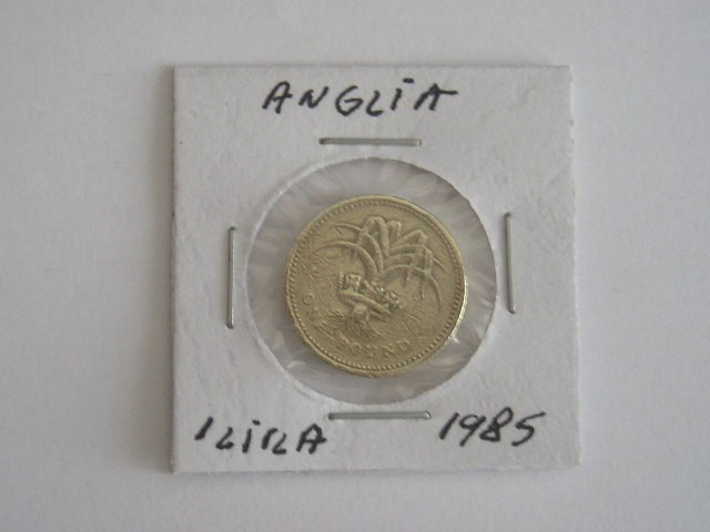CMS1 - MONEDA ANGLIA - O LIRA STERLINA EMISA IN ANUL 1985 | arhiva ...