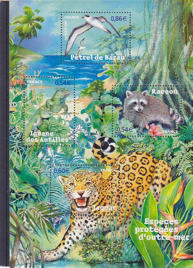 Fauna ,specii protejate in teritoriile de peste mari ,Franta. | arhiva ...