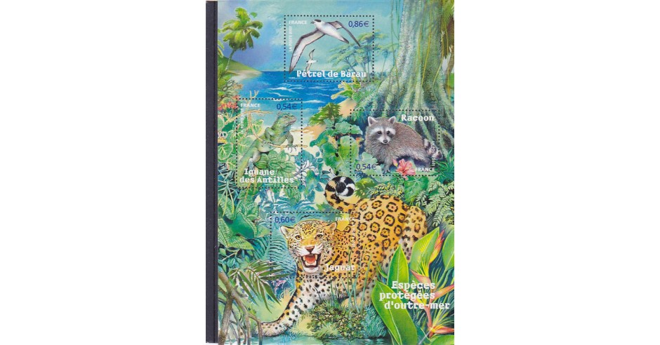 Fauna ,specii protejate in teritoriile de peste mari ,Franta. | arhiva ...