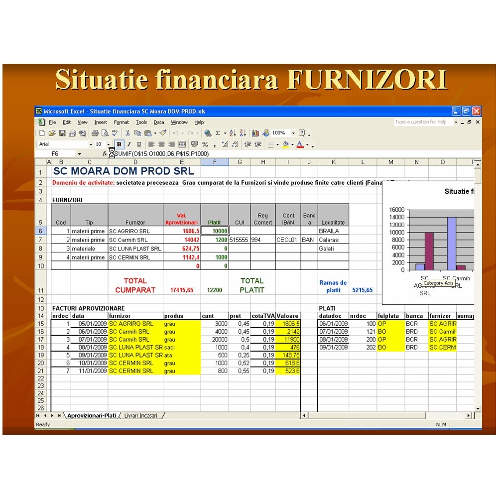 Proiect Excel - Situatie financiara plati furnizori | arhiva Okazii.ro
