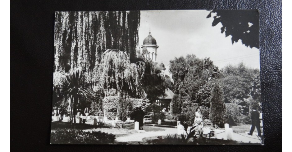 CP - Vedere - Radauti - Vedere din parc - circulata 1968 | Okazii.ro