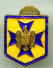 INSIGNA CERCETASI CERCETASIE SISTEM PRINDERE TIP BUTONIERA NUMEROTATA ...