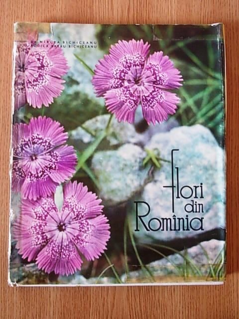FLORI DIN ROMANIA- MIRCEA BICHICEANU, ALBUM FLORA ROMANIEI, CARTONATA ...