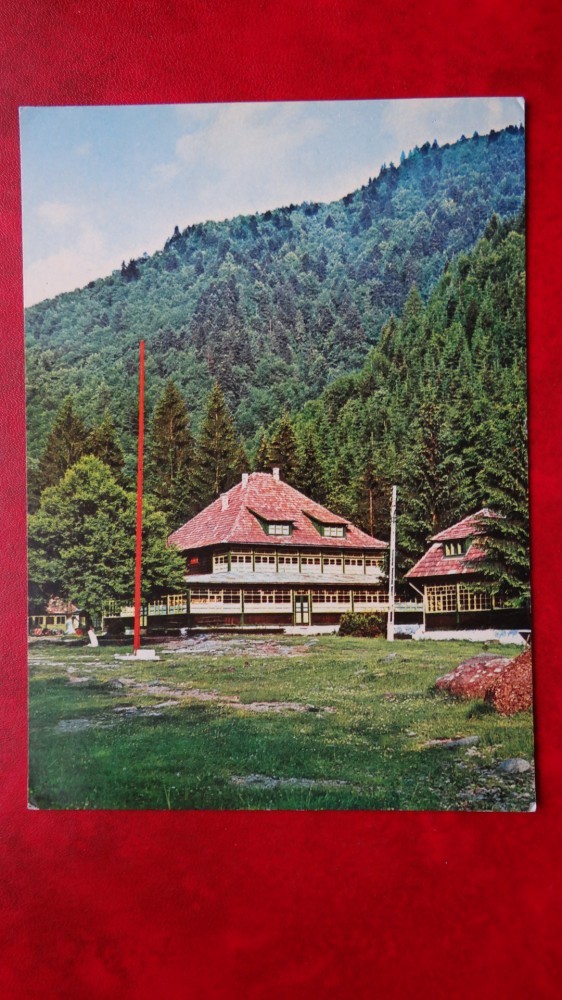 Vedere/ Carte postala - Rastolnita - Tabara de pionieri si scolari ...