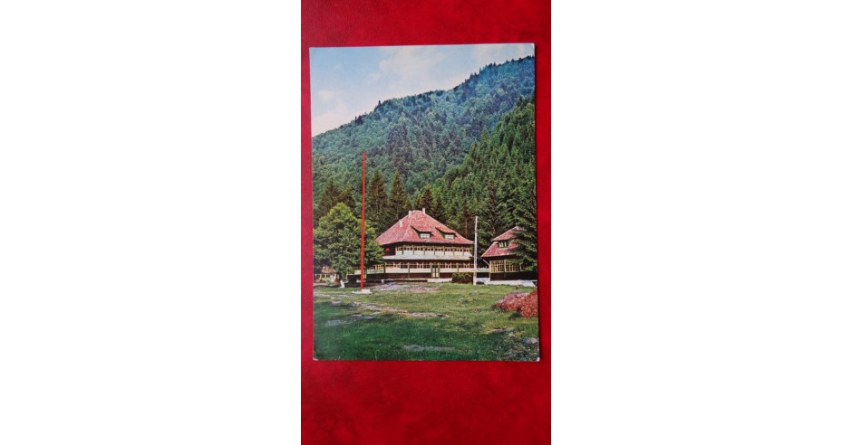 Vedere/ Carte postala - Rastolnita - Tabara de pionieri si scolari ...