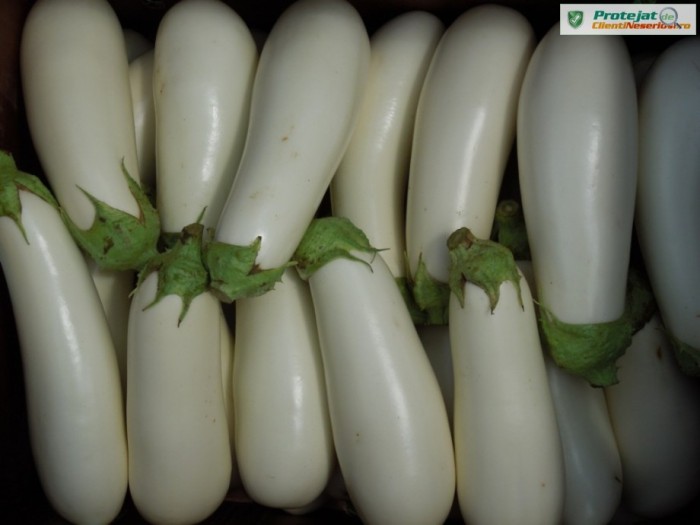Vinete ALBE, LUNGI - LEGUME RARE - plic cu 10 seminte - Viabilitate ...